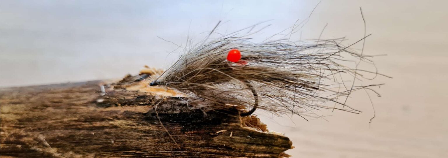 Fluefiskeri for begyndere | Kom godt i gang med at fluefiske i 2025